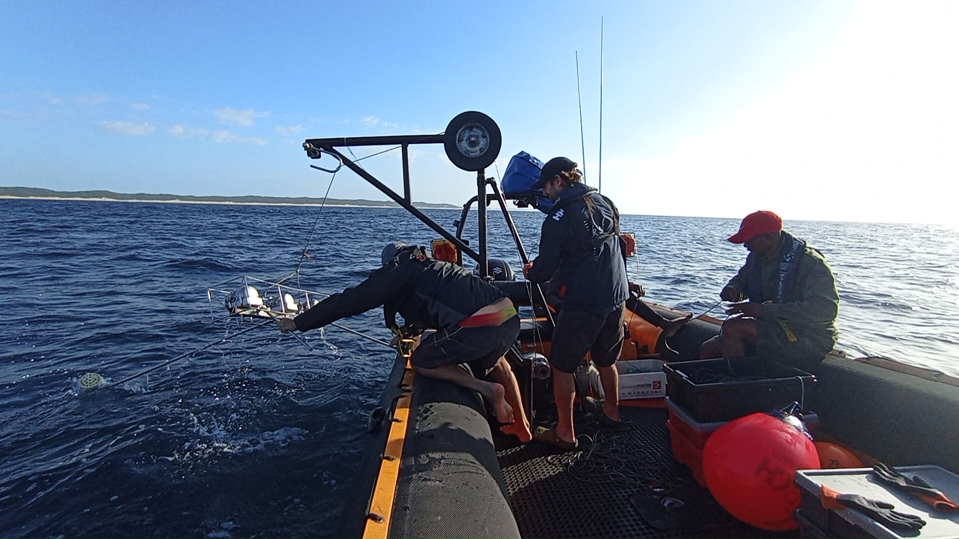 WCS and partners continue their research using BRUVs in Maputo National ...